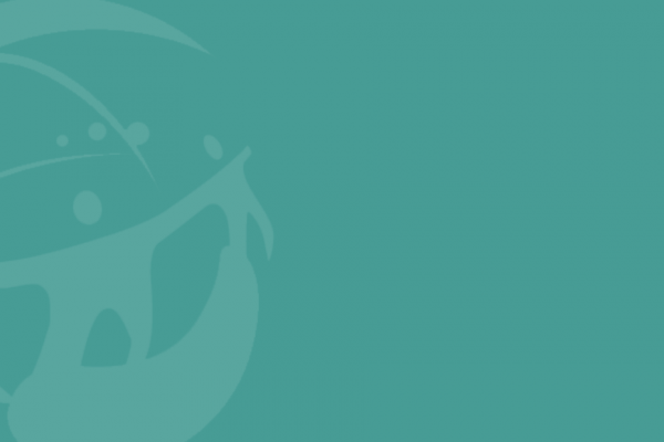 Give - Encompass World Partners